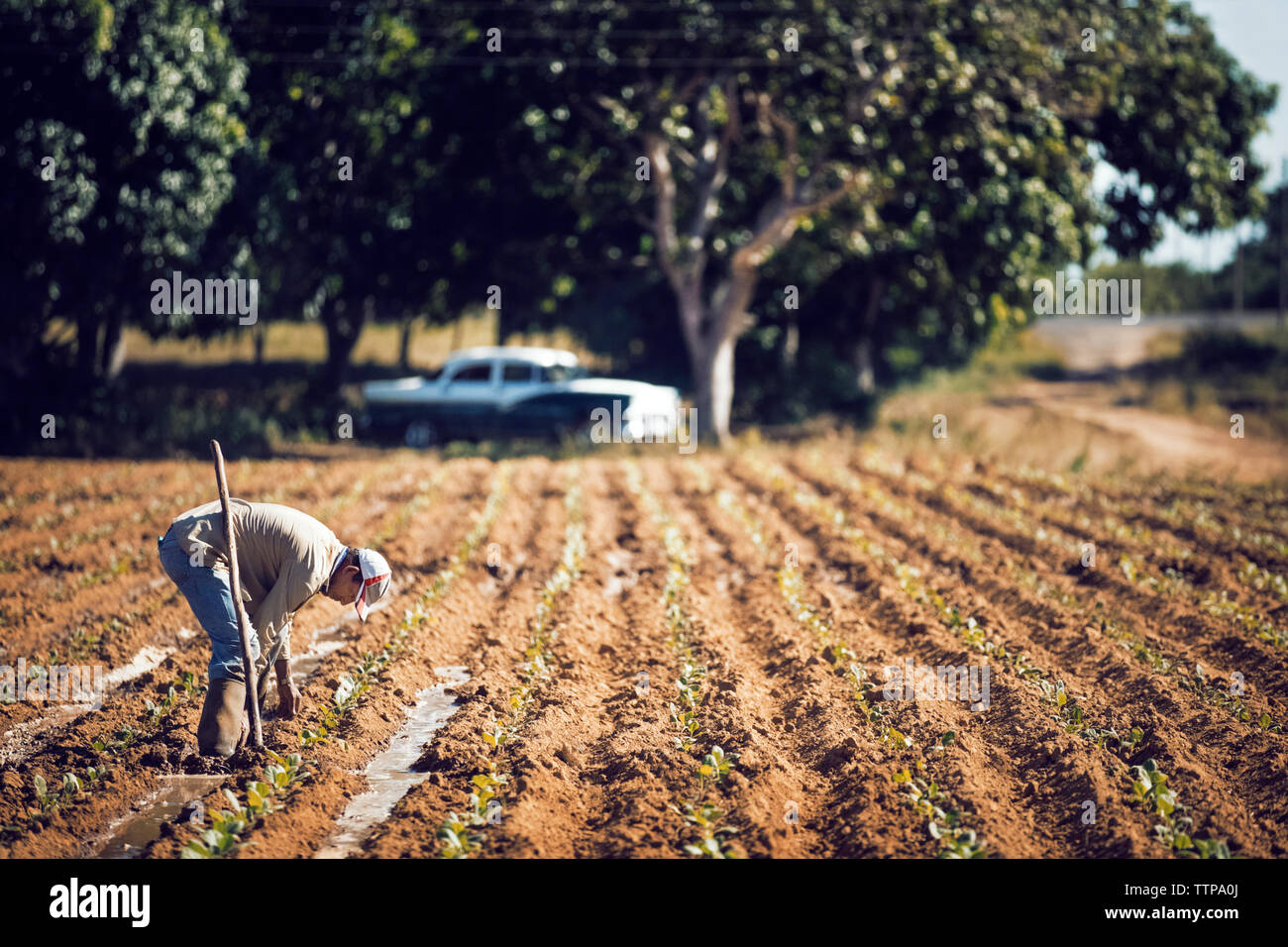 Side view of farmer working on field in farm Stock Photo - Alamy