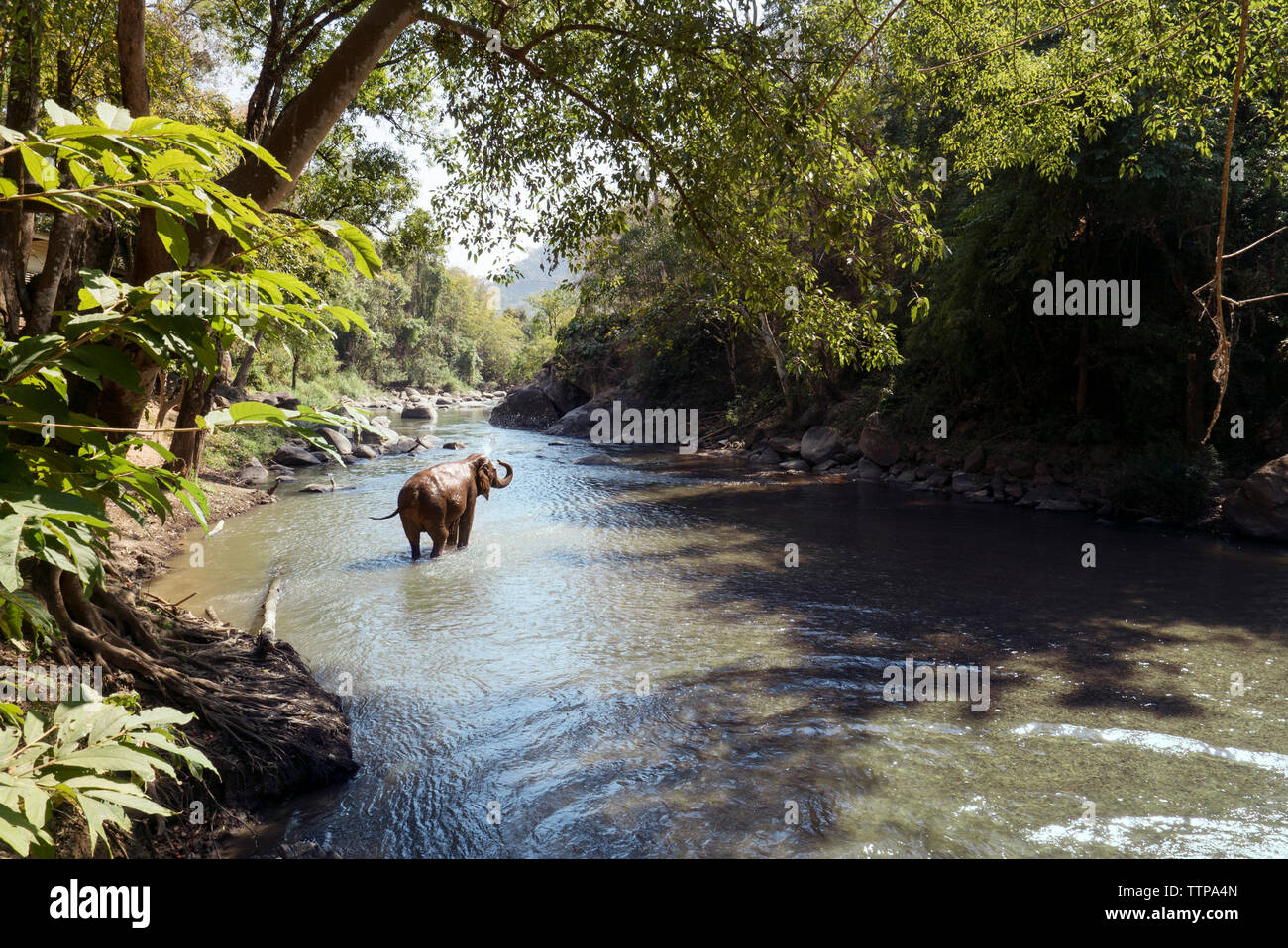 Bathing in river hi-res stock photography and images - Alamy