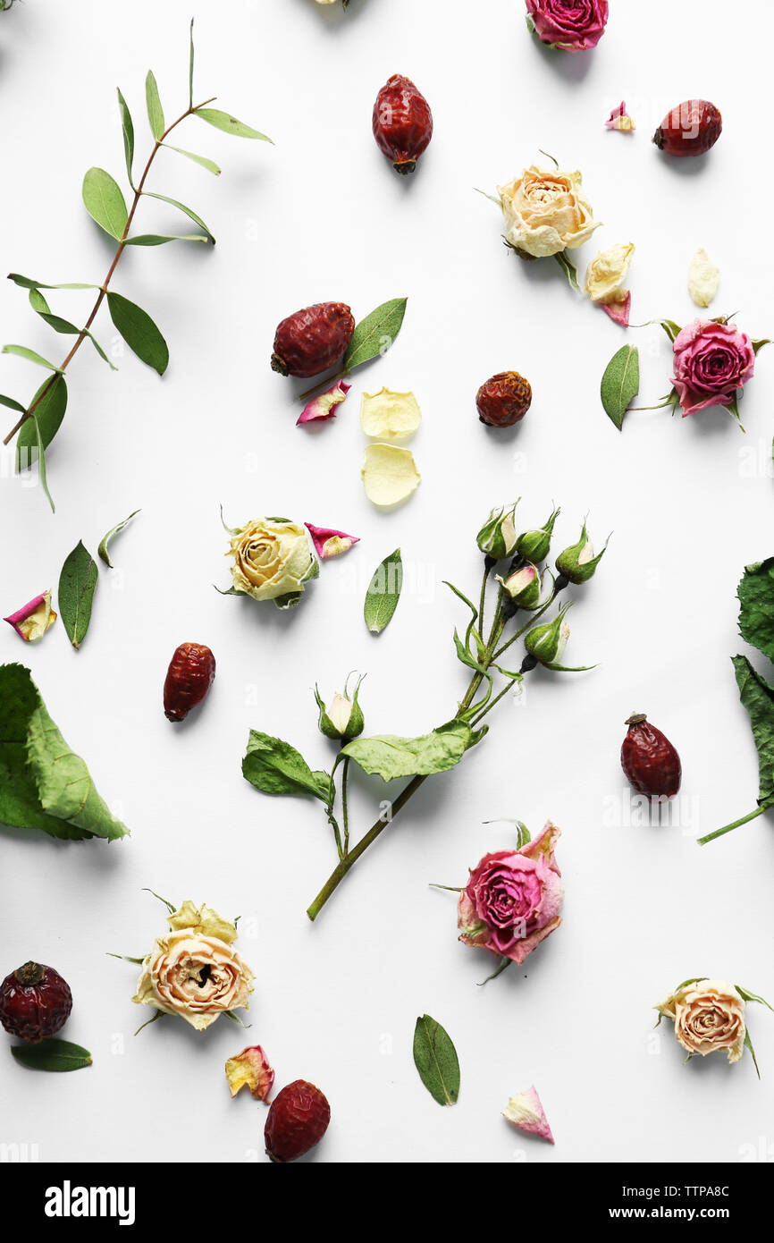 Dried roses on white background Stock Photo - Alamy