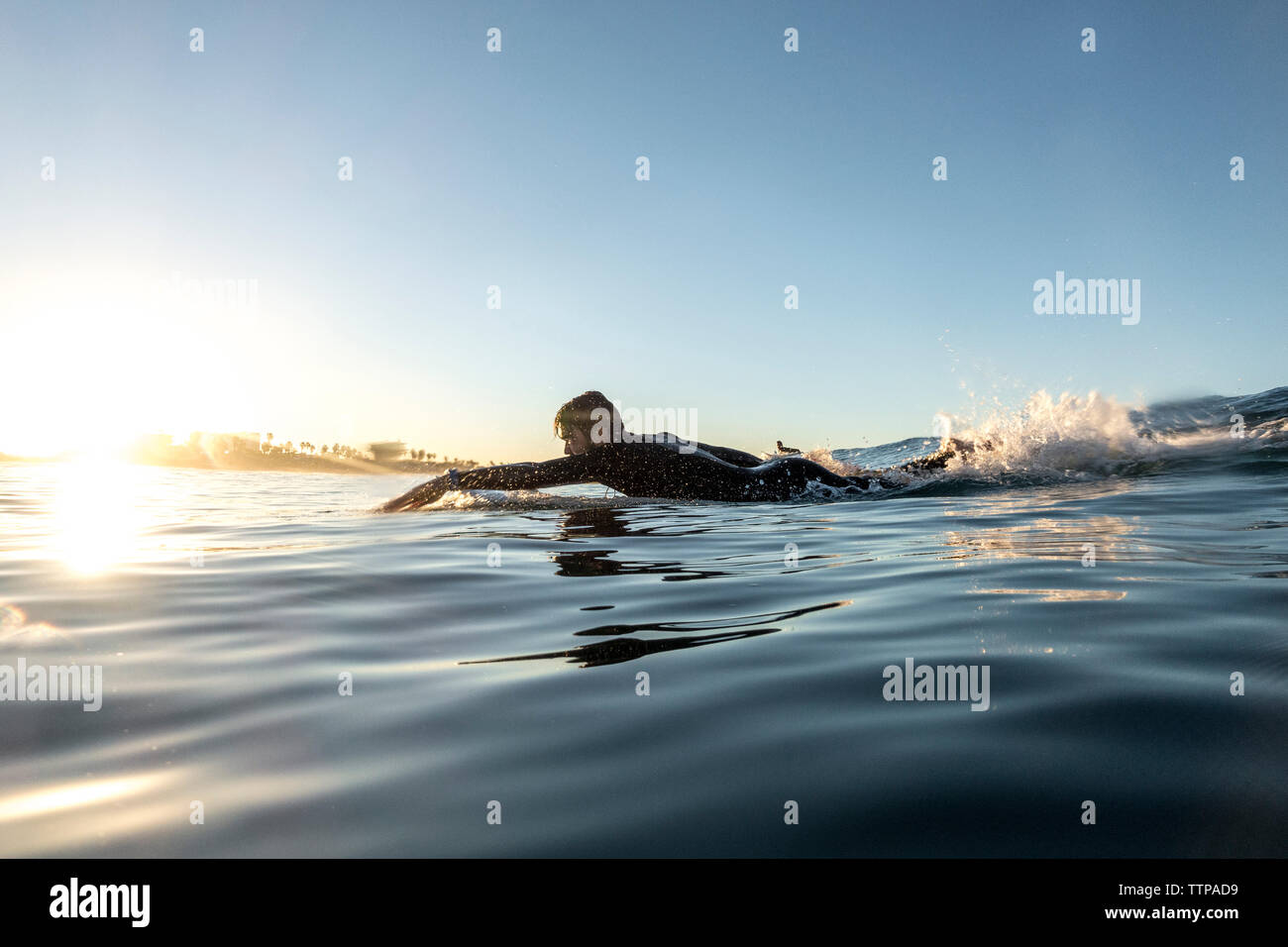 Side view of male surfer lying on surfboard in sea during sunset Stock ...