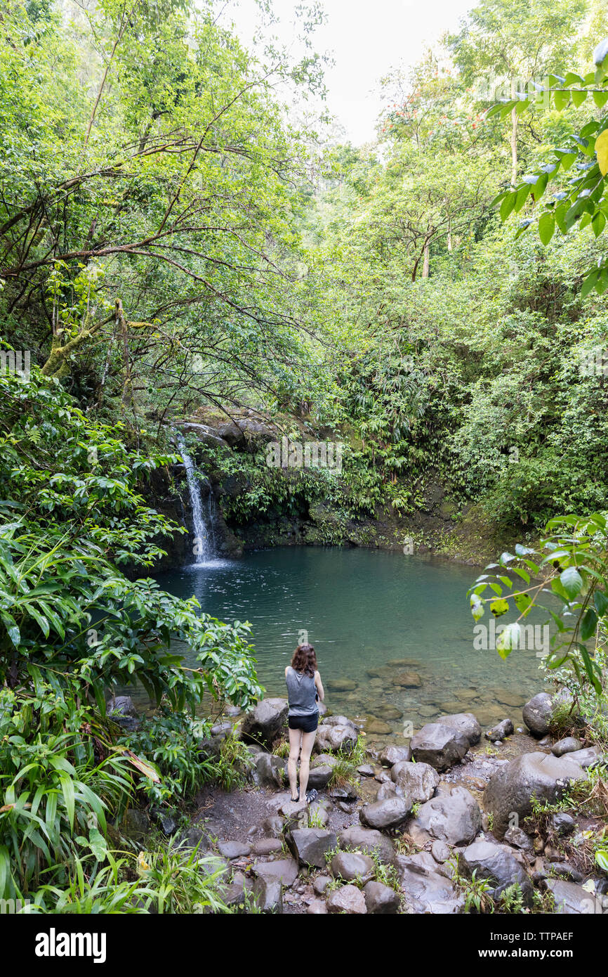 Rear view of female hiker standing at Maui island Stock Photo - Alamy