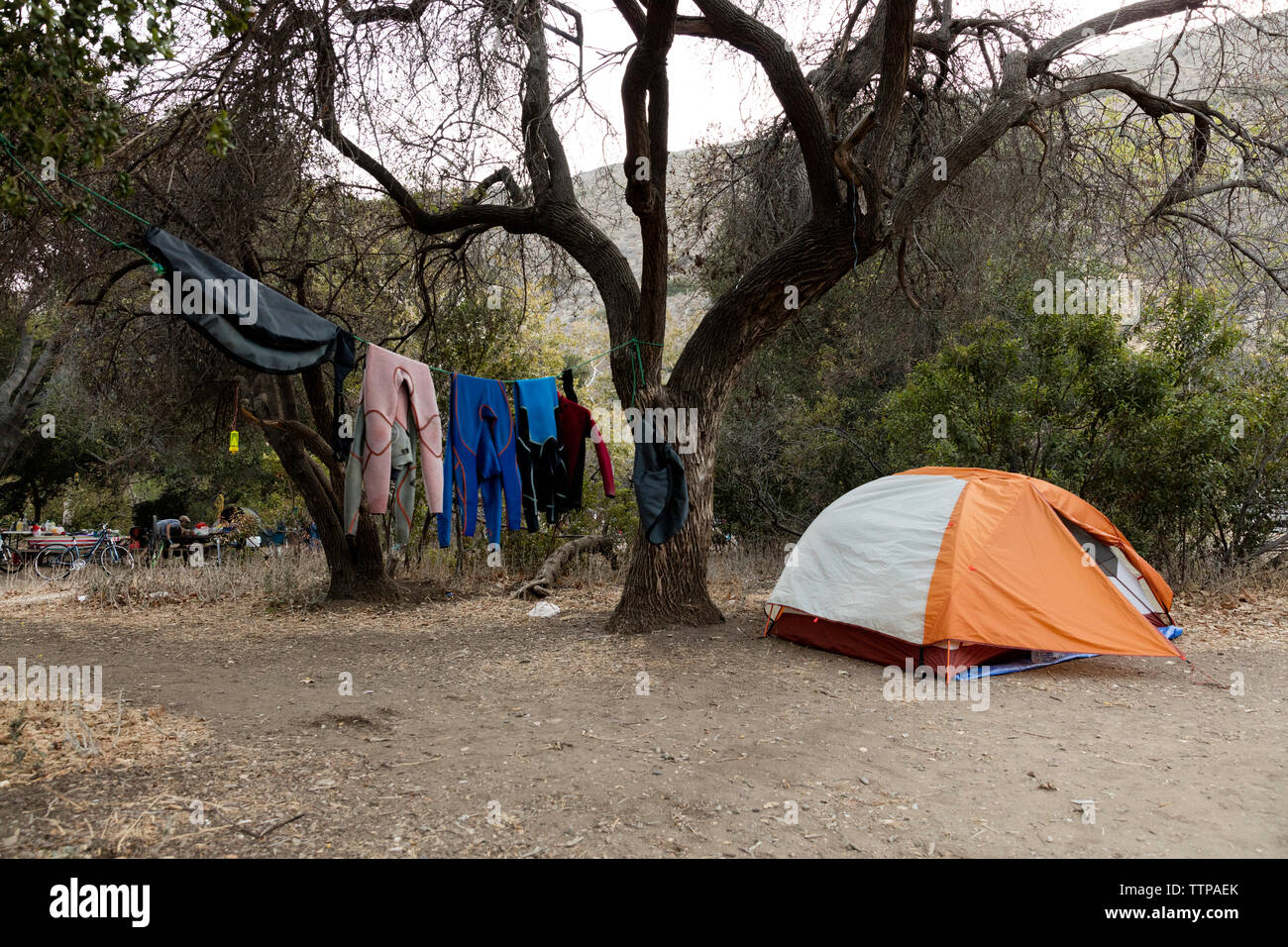 Wetsuits drying on clothesline by tent in forest Stock Photo - Alamy