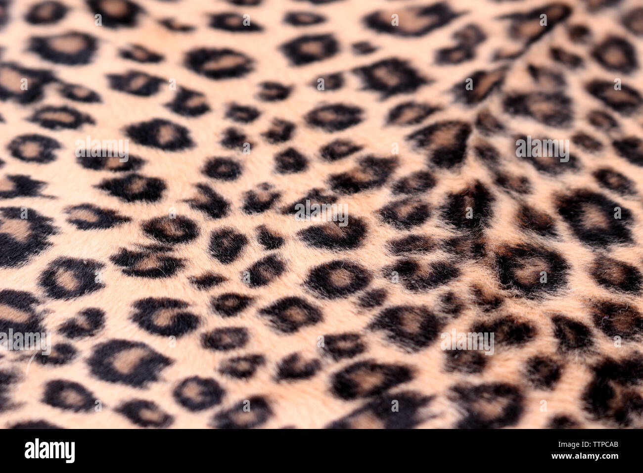 Leopard Print Pattern High Resolution Stock Photography and Images - Alamy