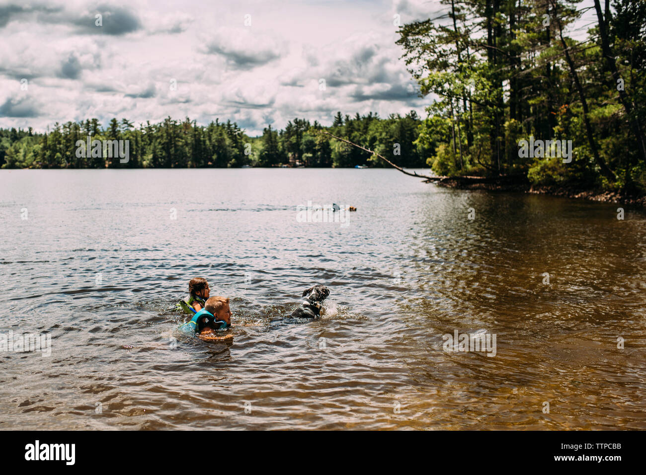 Brother and sister swimming together hi-res stock photography and ...