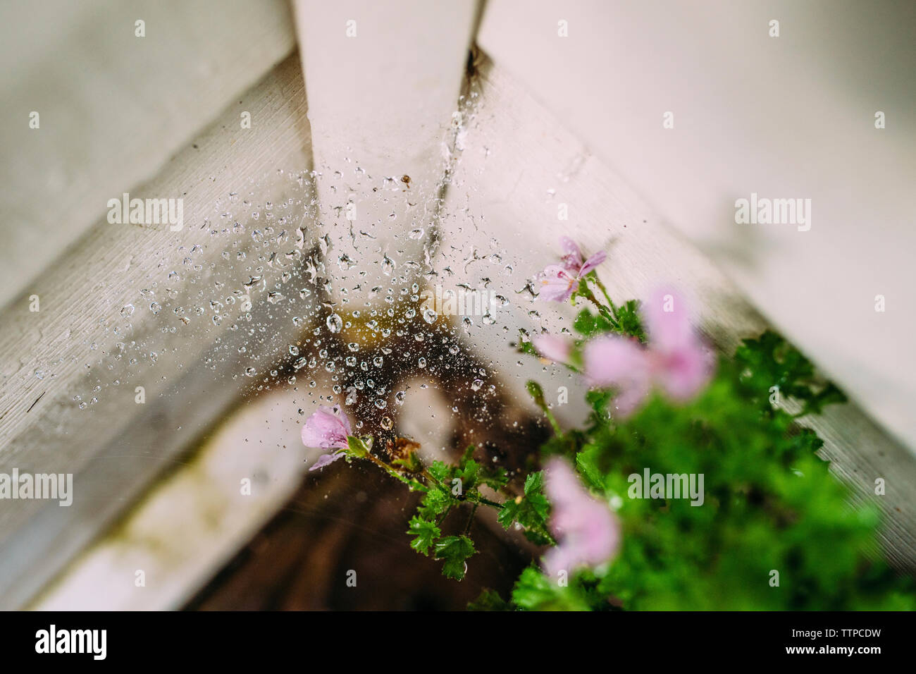 Wet blinds hi-res stock photography and images - Alamy
