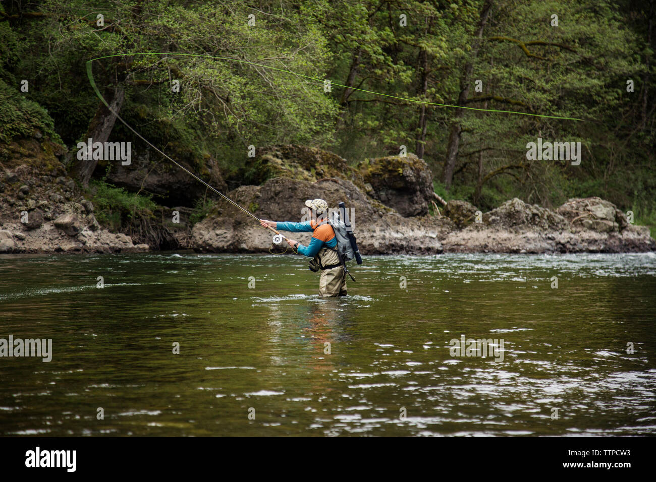 Man fly fishing on river against trees Stock Photo - Alamy