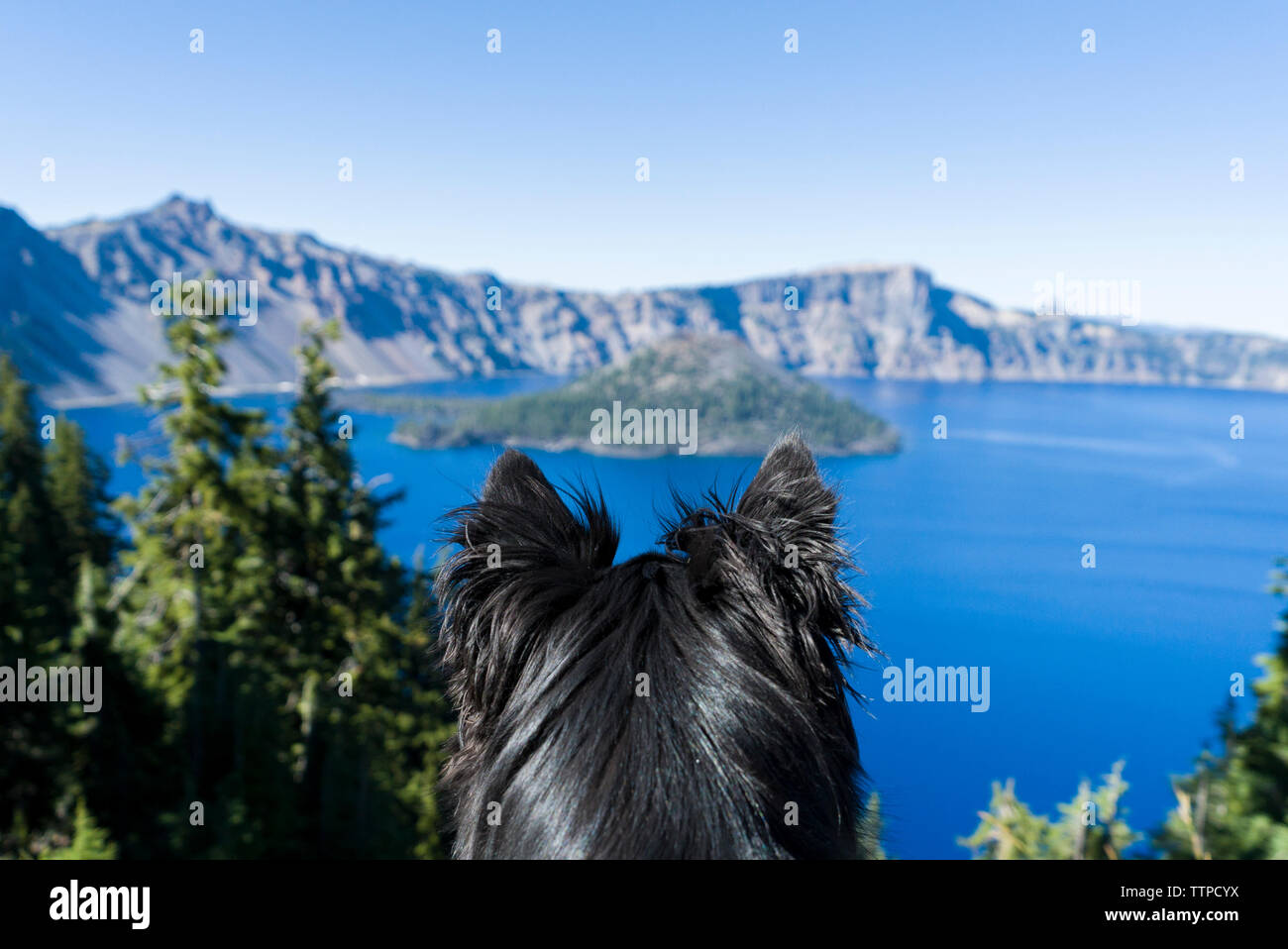 Dog lake oregon hi-res stock photography and images - Alamy