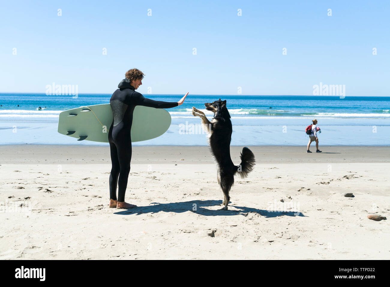 Animal high five hi-res stock photography and images - Alamy
