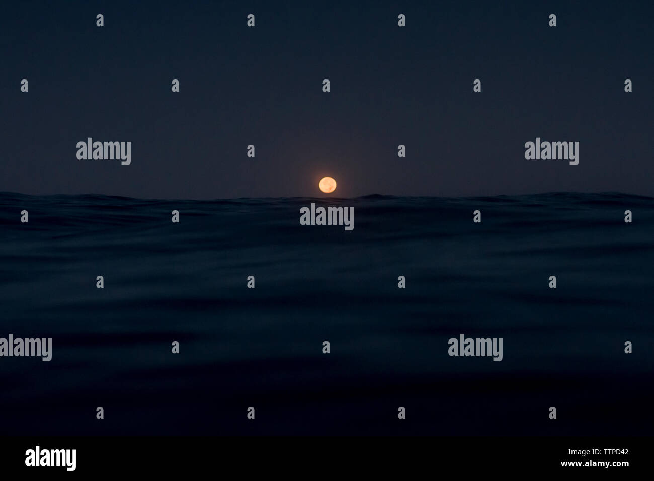 Sea of tranquility moon close up hi-res stock photography and images ...