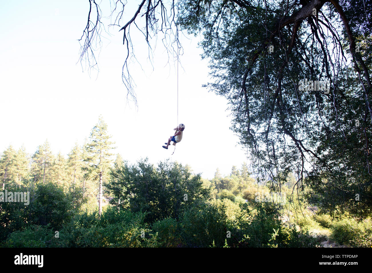 Girl rope swing hi-res stock photography and images - Alamy