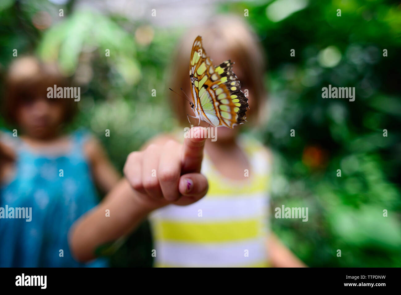 Fingers on the wings hi-res stock photography and images - Alamy