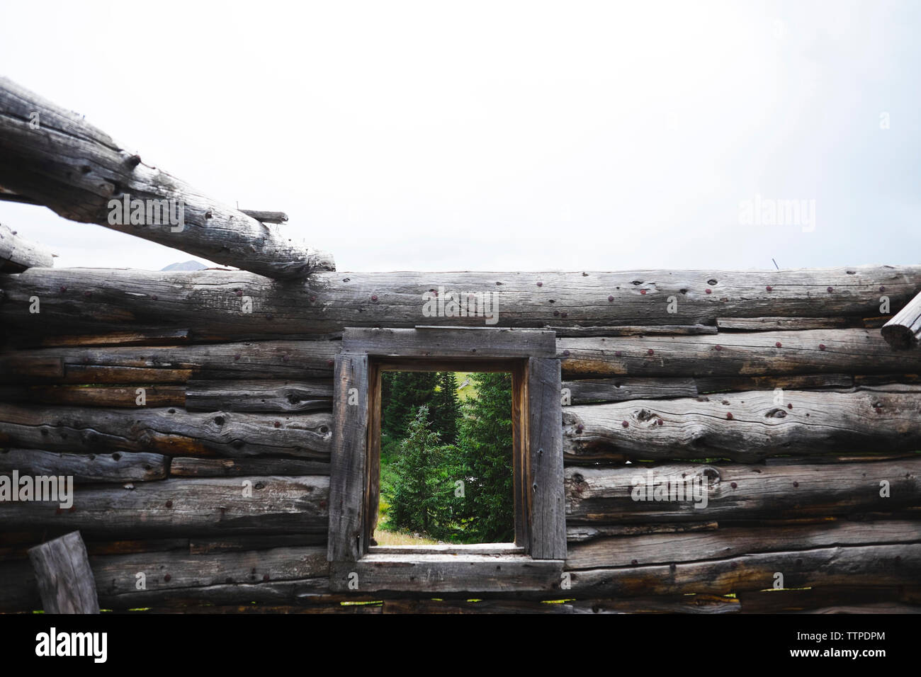 Trees seen through log cabin window against clear sky Stock Photo - Alamy