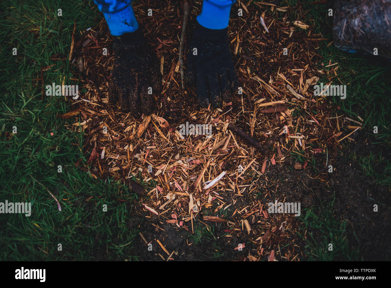 Gardening yard hi-res stock photography and images - Alamy