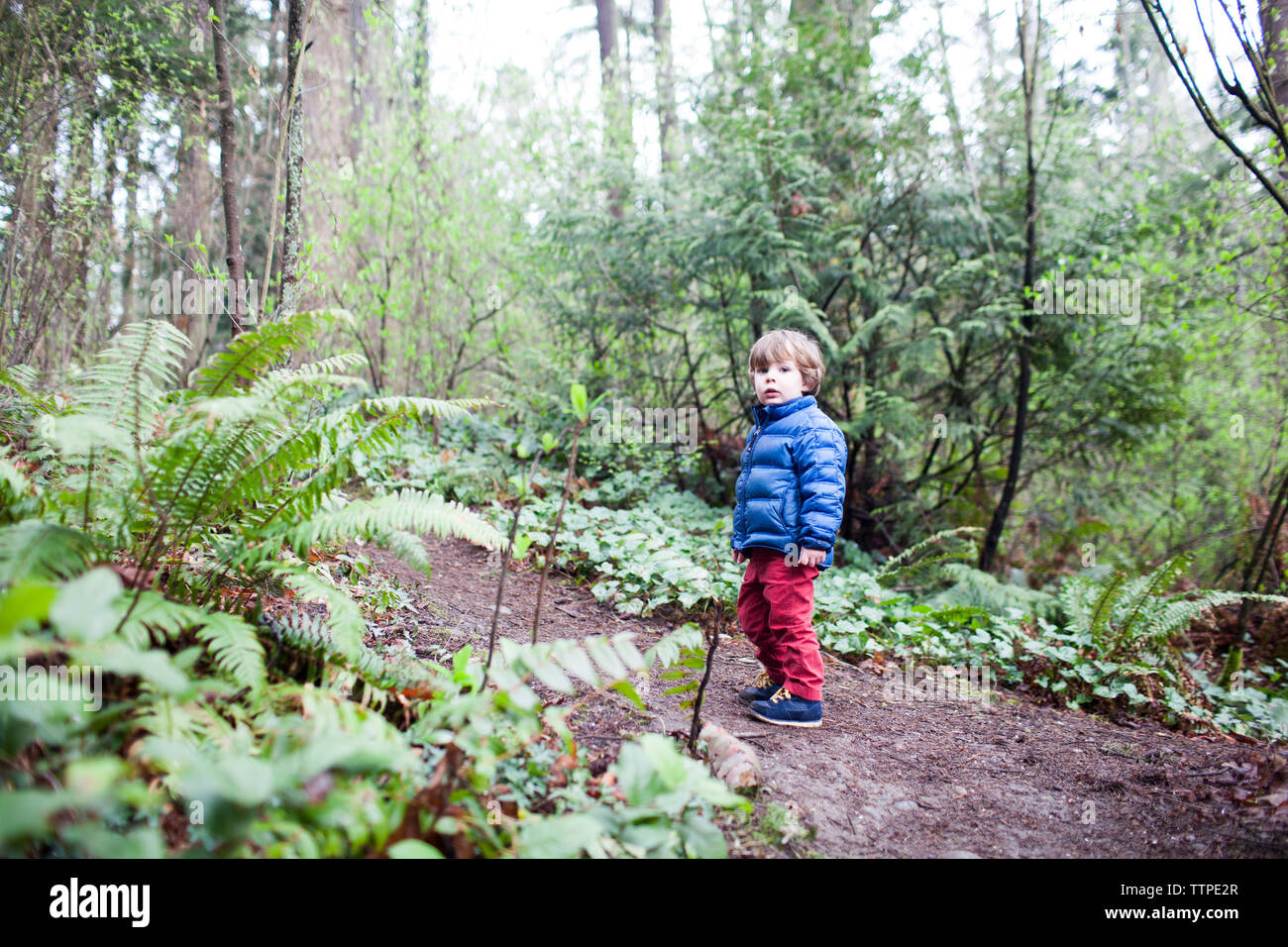 Boy standing in woods hi-res stock photography and images - Alamy