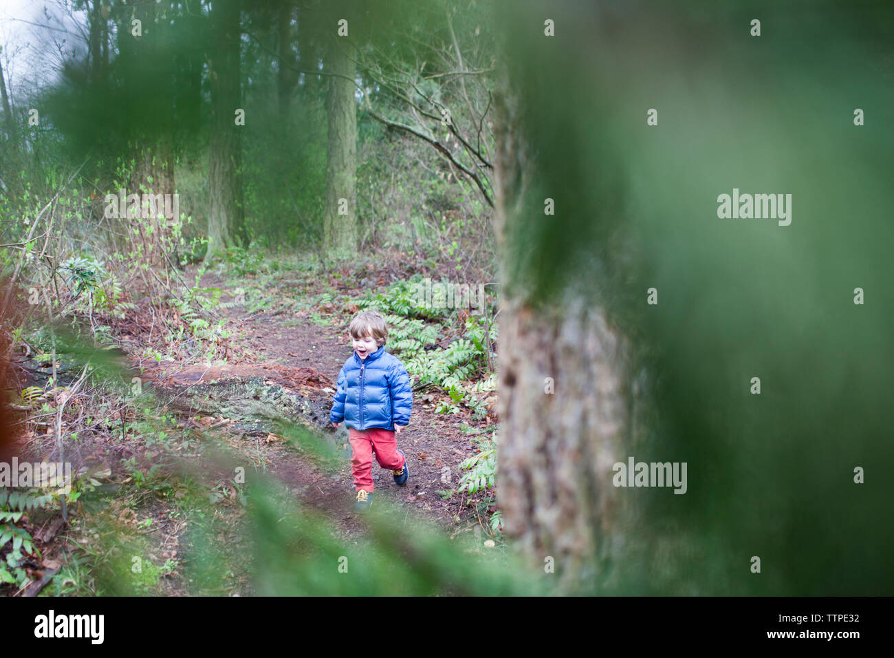 Boy walking in woods hi-res stock photography and images - Alamy