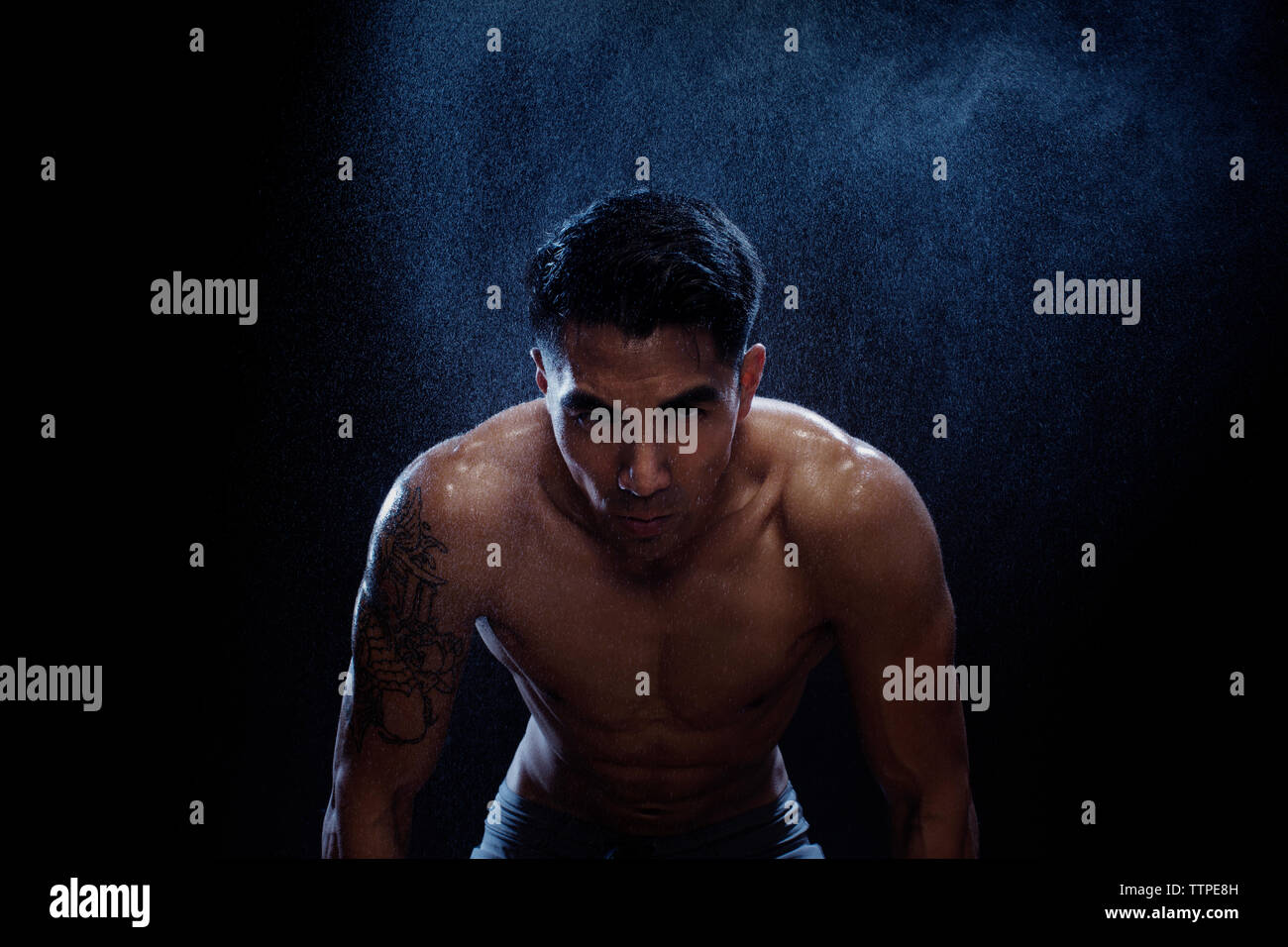 Portrait of confident muscular build kickboxer against black background ...