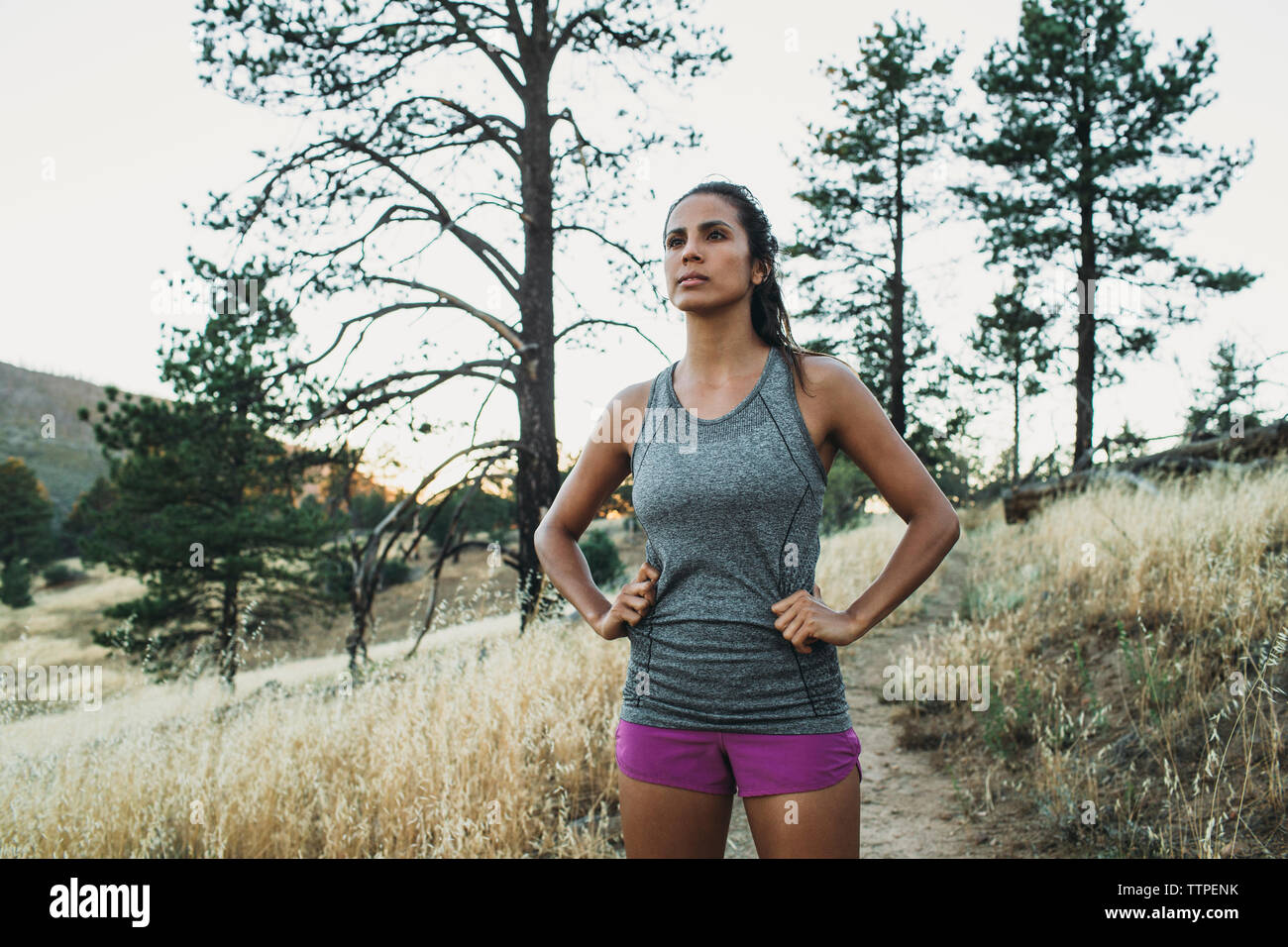 Grassy field environment hi-res stock photography and images - Alamy