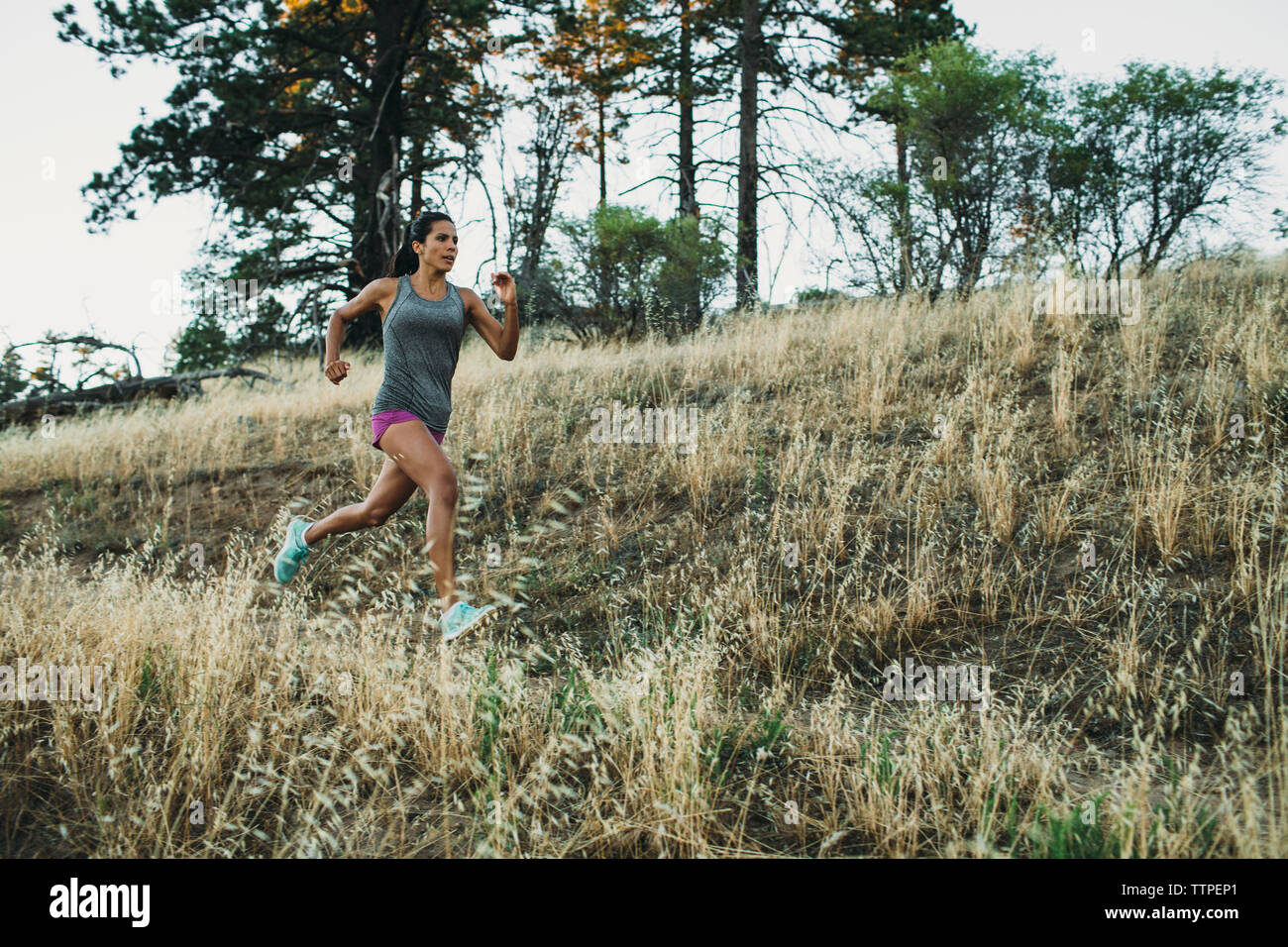 Field grassy hi-res stock photography and images - Alamy