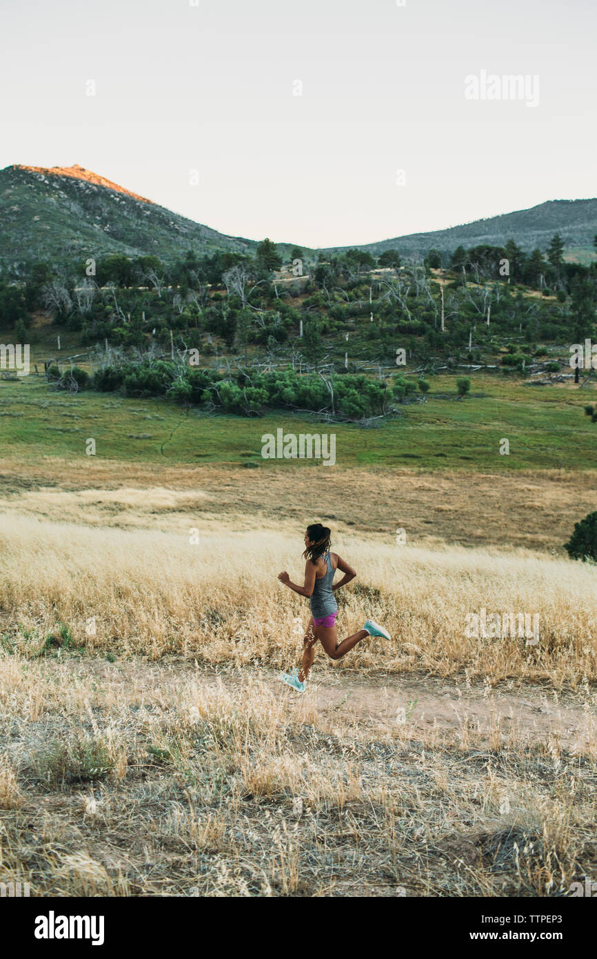 High angle view of athlete woman running on grassy field Stock Photo ...