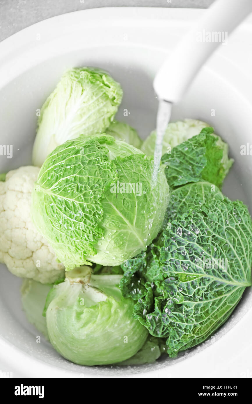Various cabbages washing in sink Stock Photo - Alamy