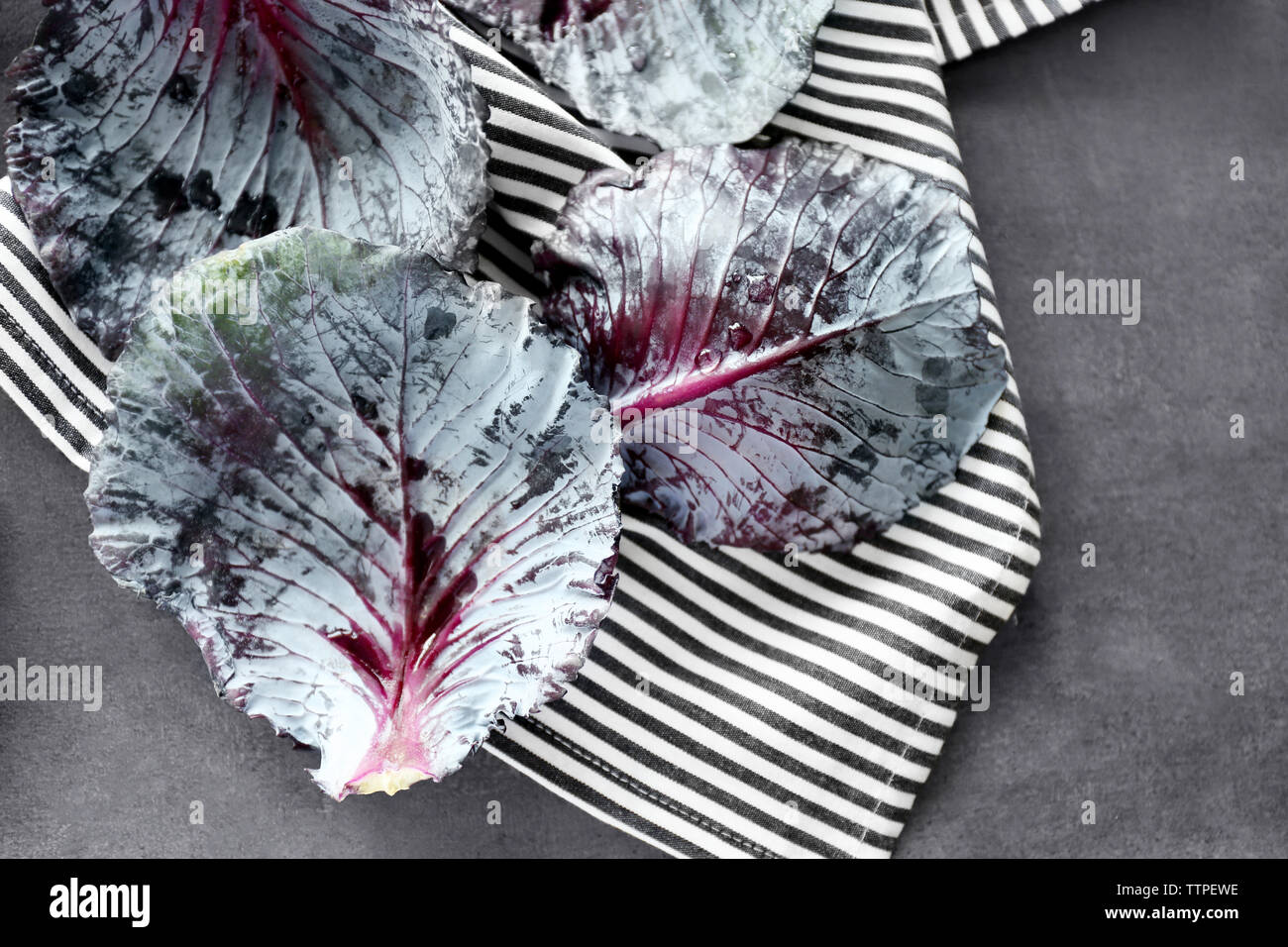 Red cabbage leaves hi-res stock photography and images - Alamy