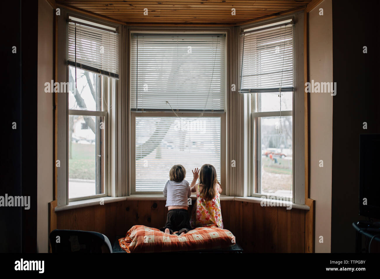 Rear view of siblings kneeling by window at home Stock Photo - Alamy
