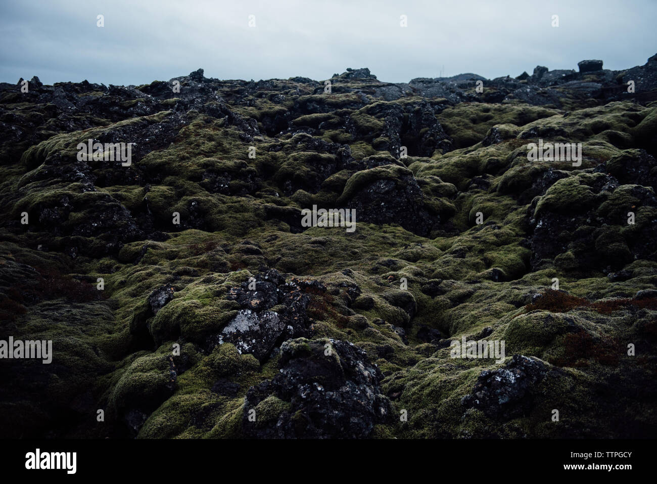 Moss and rocks hi-res stock photography and images - Alamy