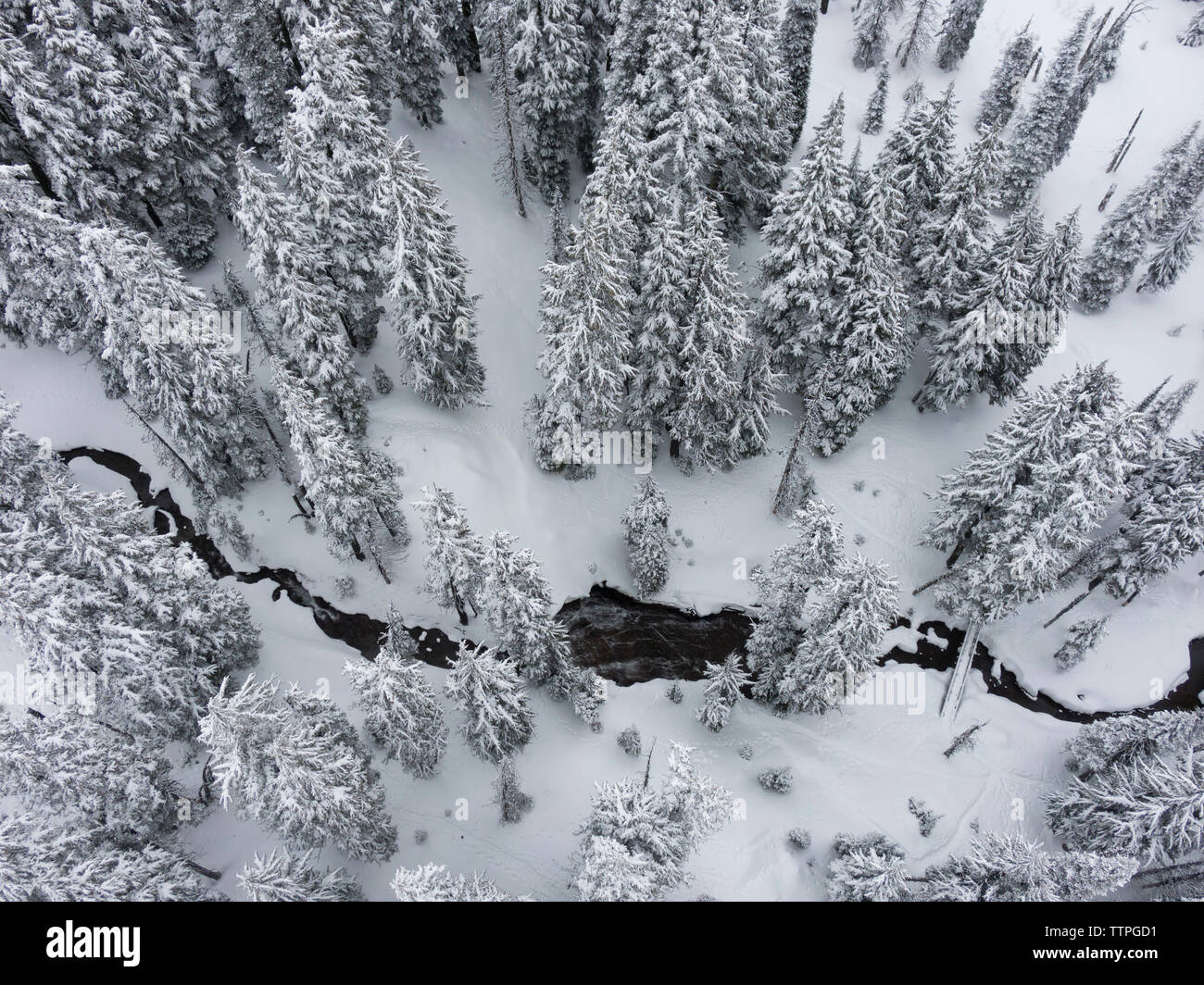 Ice age in winter hi-res stock photography and images - Alamy
