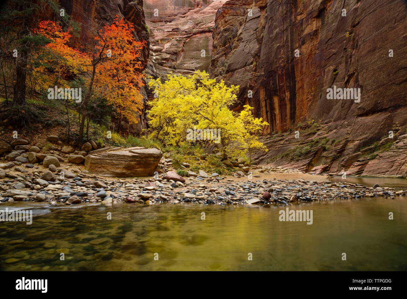 Plants by lake against mountains during autumn at Zion National Park ...