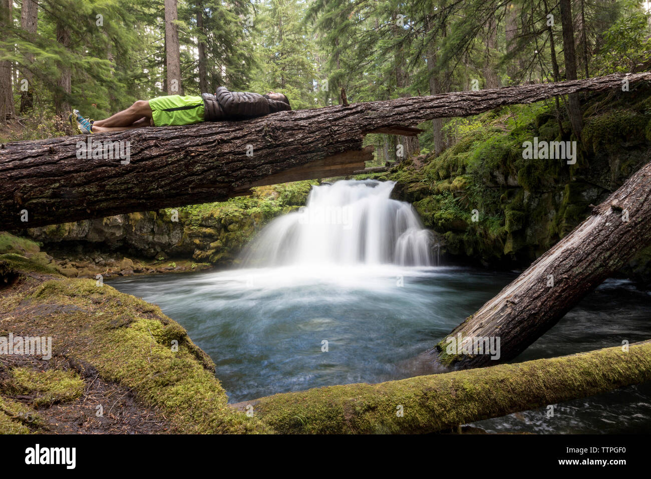 Man lying on tree trunk hi-res stock photography and images - Alamy