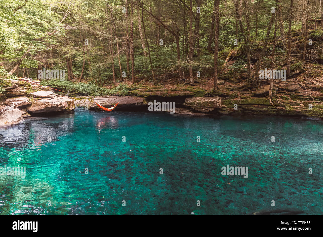 Man rests in hammock over beautiful, blue spring in upstate New York ...