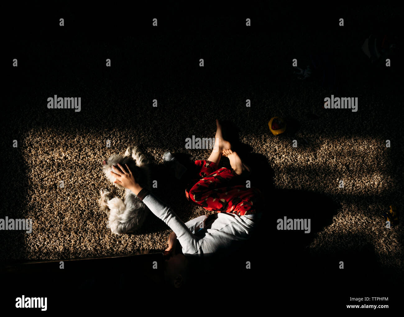 Overhead view of boy sleeping on rug with dog at home Stock Photo - Alamy