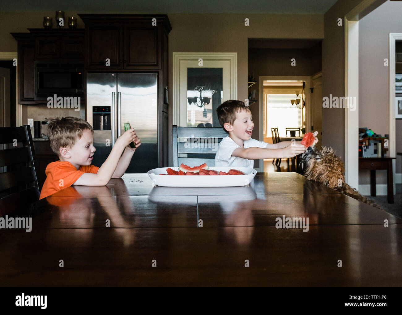 Boy feeding dog hi-res stock photography and images - Alamy
