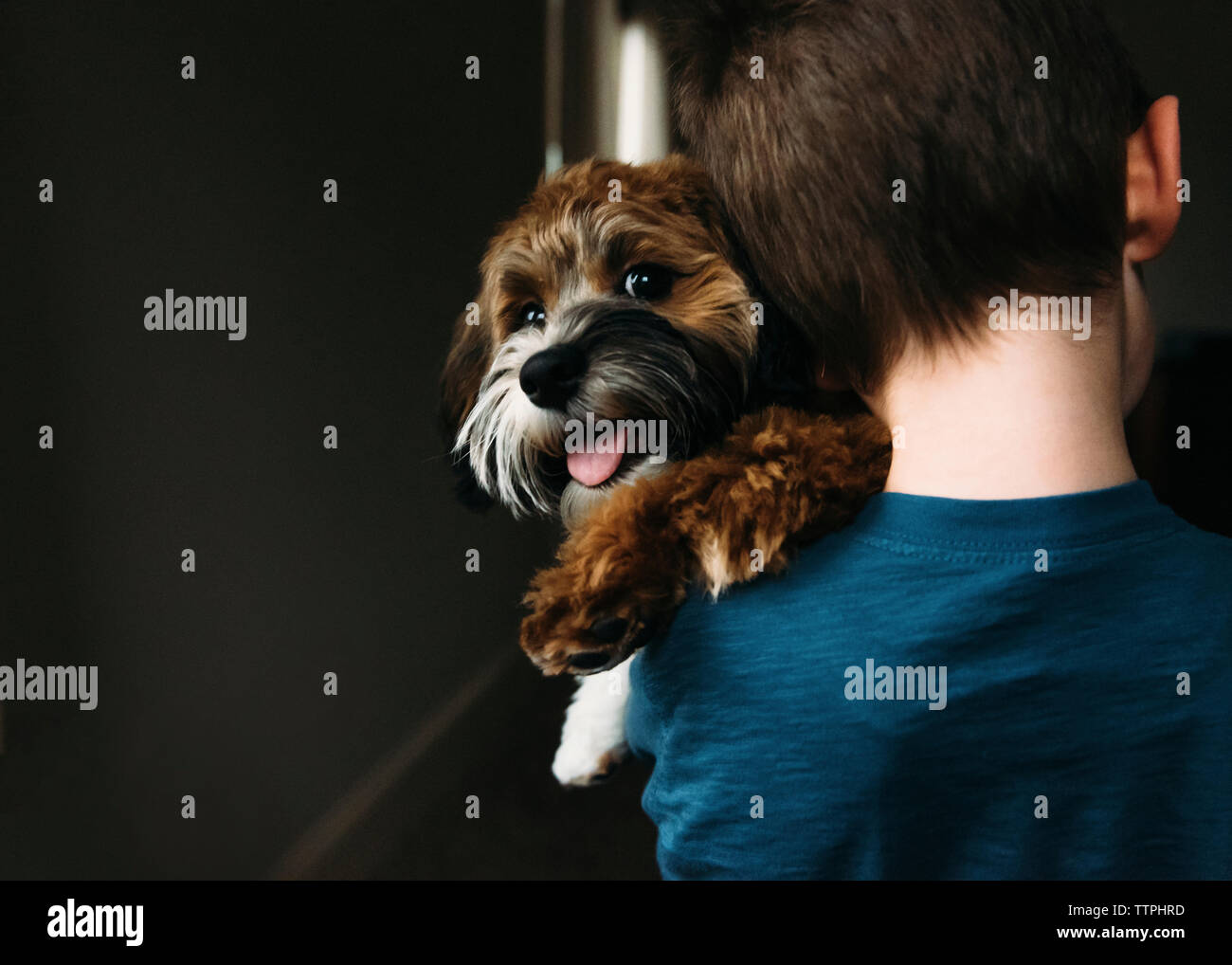 Portrait of dog sticking out tongue while being carried by boy in ...