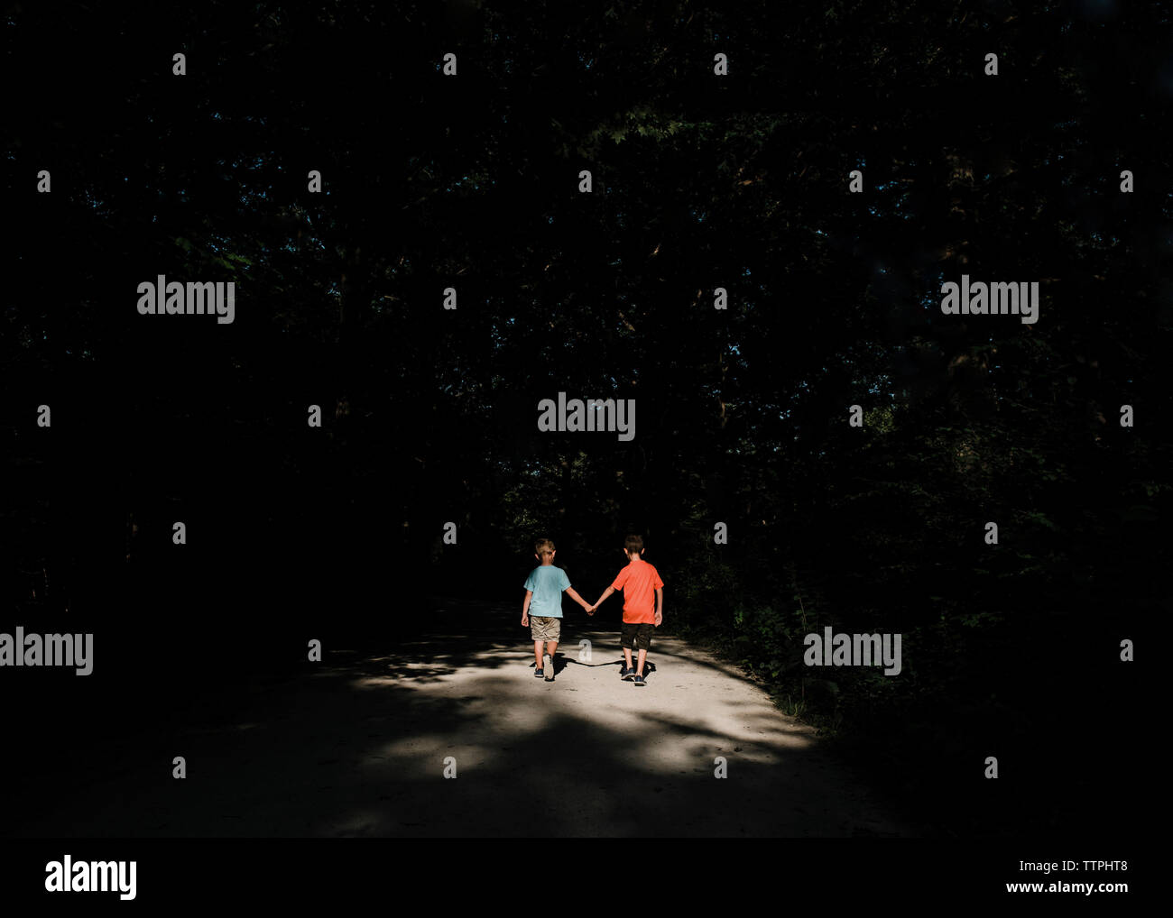 Rear view of brothers holding hands while walking on road amidst ...