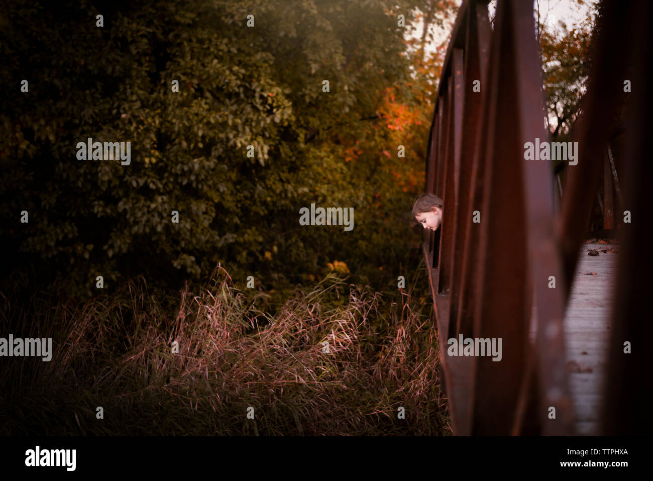 Small Boy Looking Over A Bridge At A Creek Stock Photo - Alamy