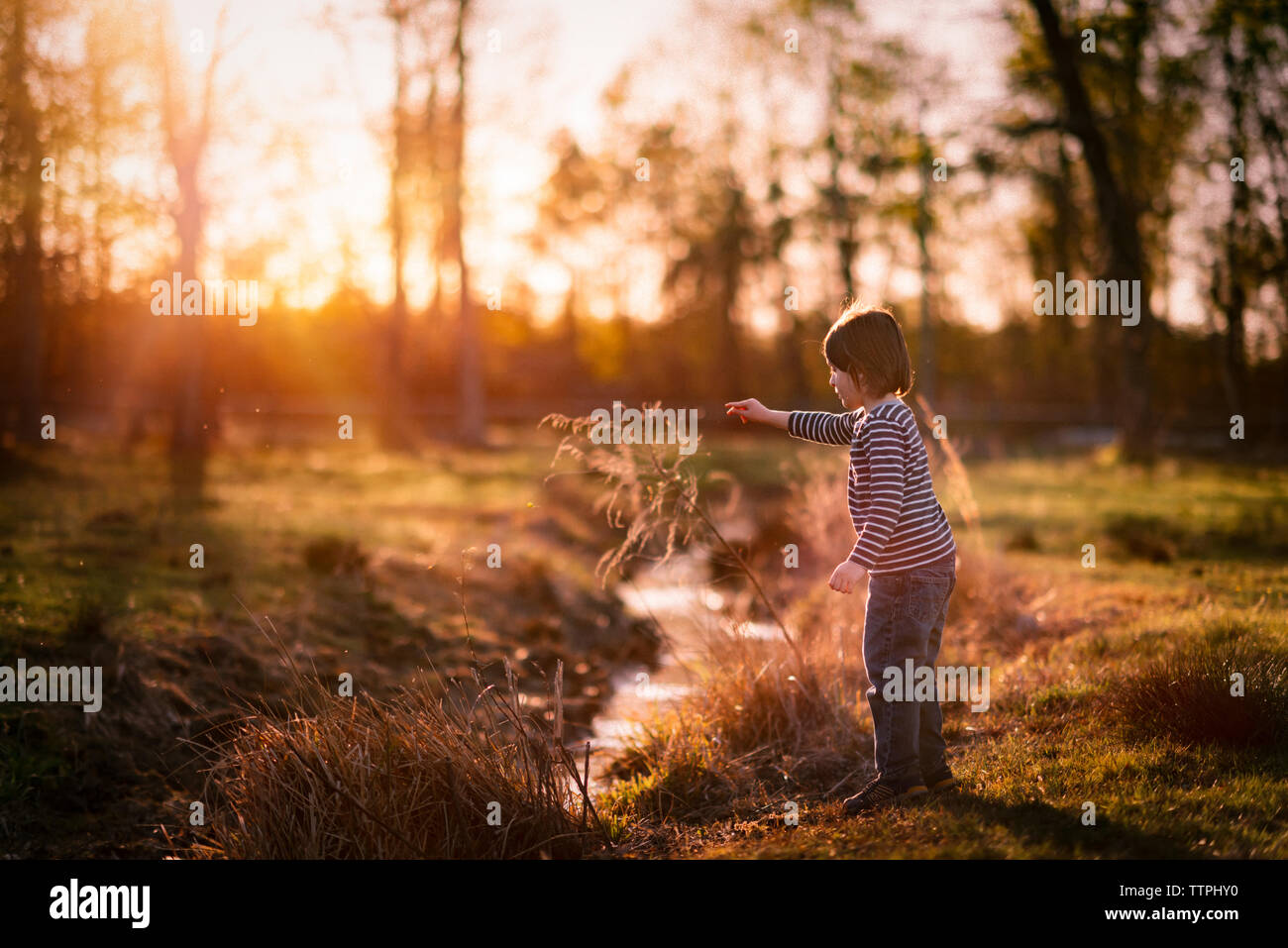 A Small Young Boy Throwing Rocks In A Creek On A Farm Stock Photo - Alamy