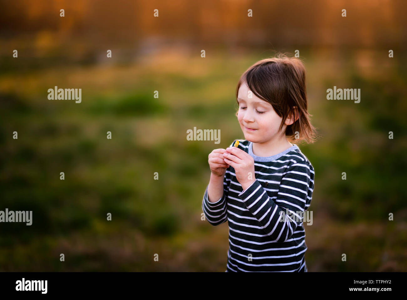 Boy Smelling Flower High Resolution Stock Photography and Images - Alamy