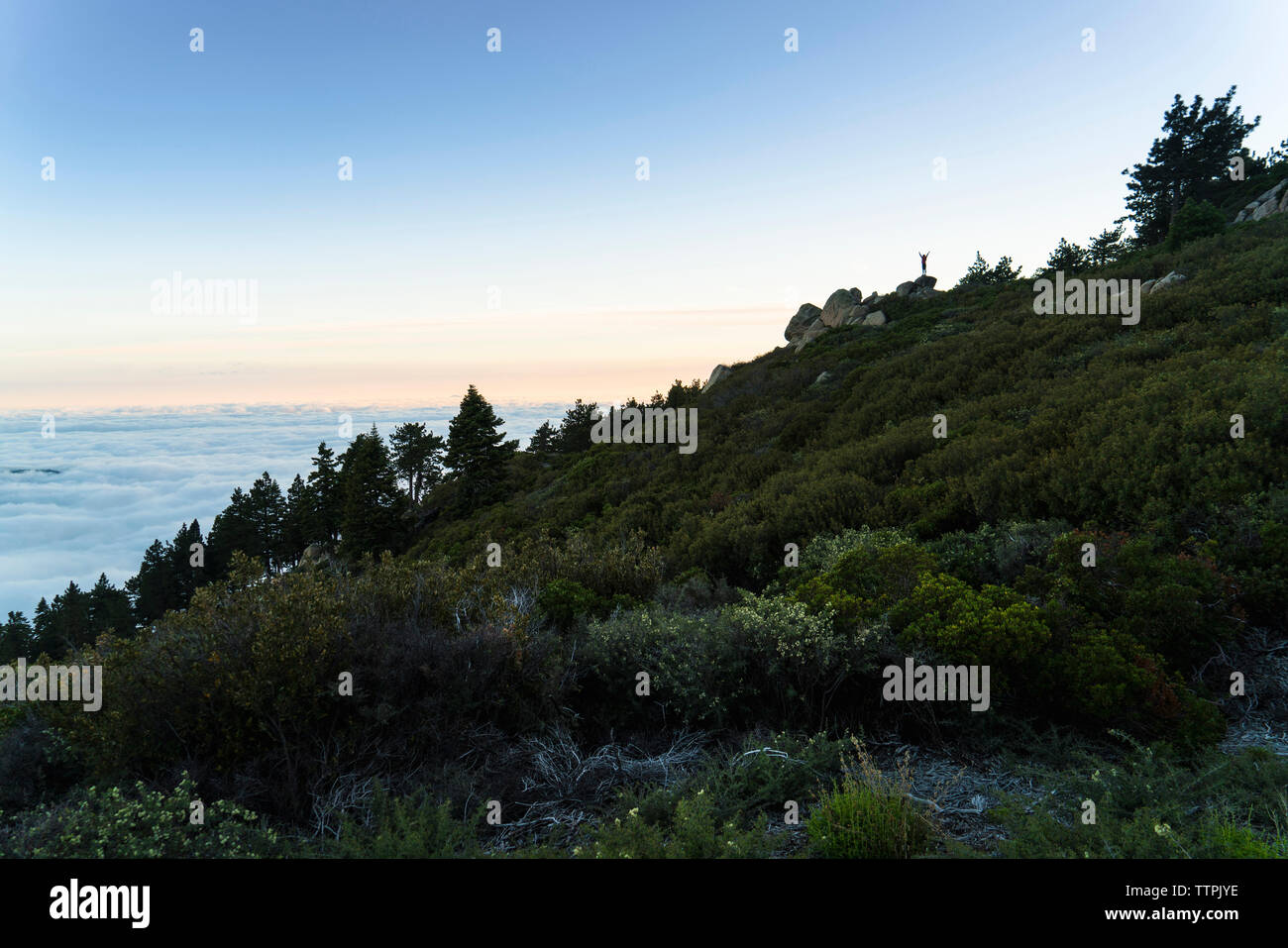 Woman distant hi-res stock photography and images - Alamy