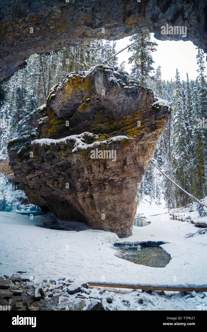 Formation forest hi-res stock photography and images - Alamy