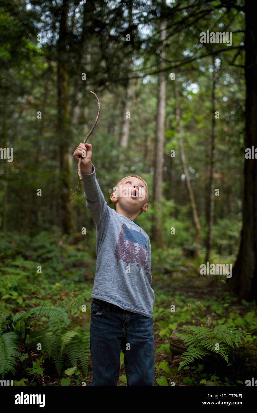 Boy holding stick hi-res stock photography and images - Alamy