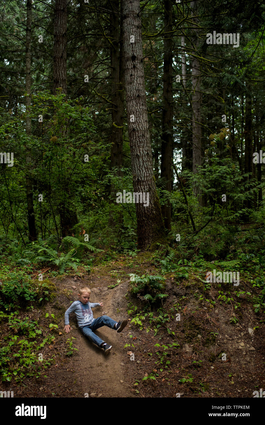 Sliding in tree hi-res stock photography and images - Alamy