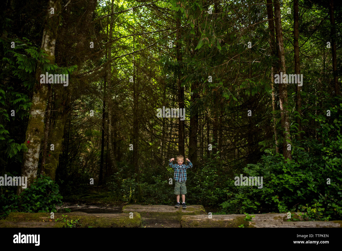 Boy flexing muscles hi-res stock photography and images - Alamy