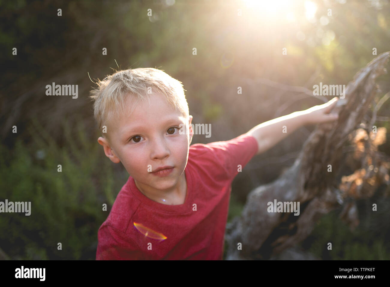 Boy standing forest hi-res stock photography and images - Alamy
