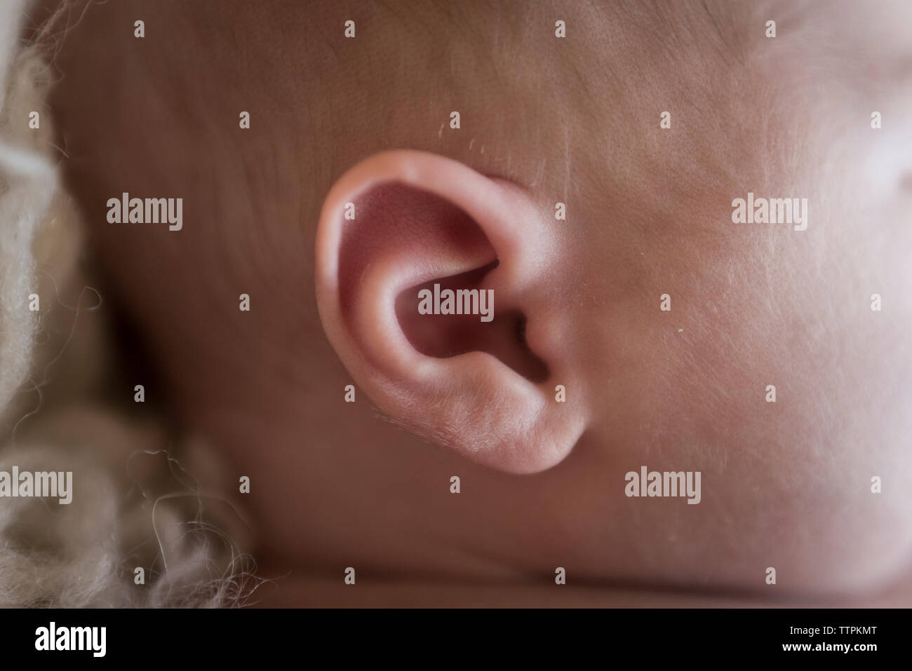 Baby Ear High Resolution Stock Photography and Images - Alamy