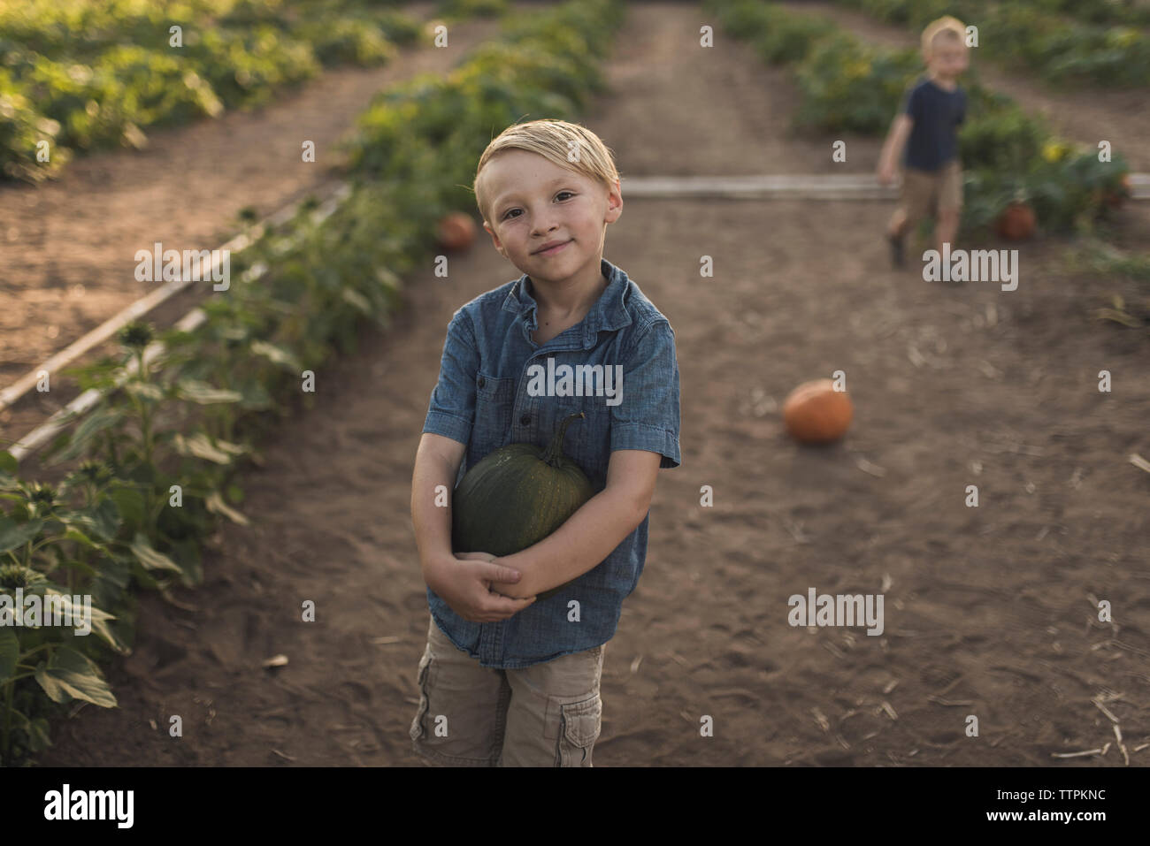 High angle portrait of boy carrying pumpkin with brother standing in ...