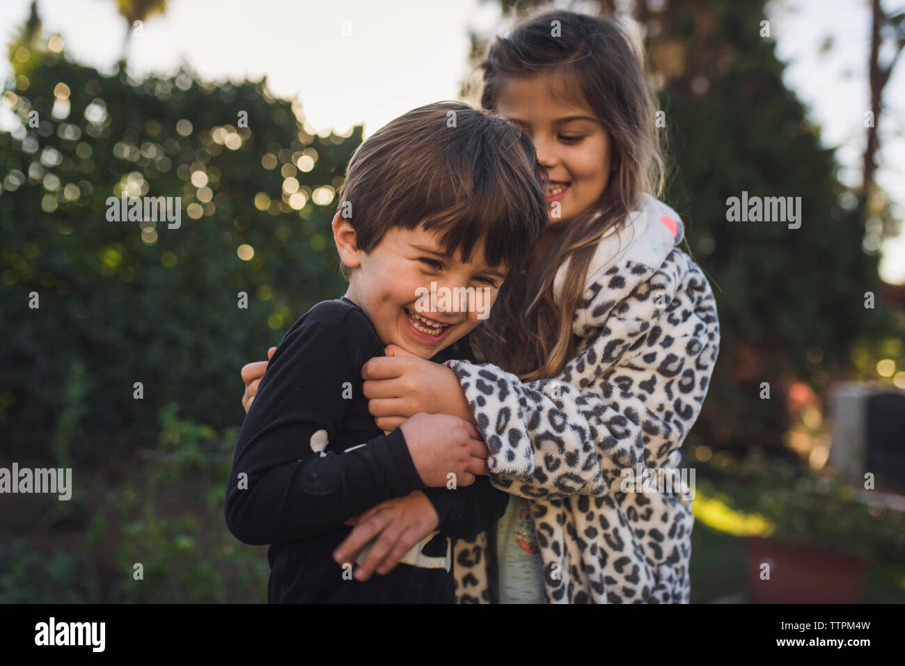 Happy siblings playing while standing in yard during sunset Stock Photo ...