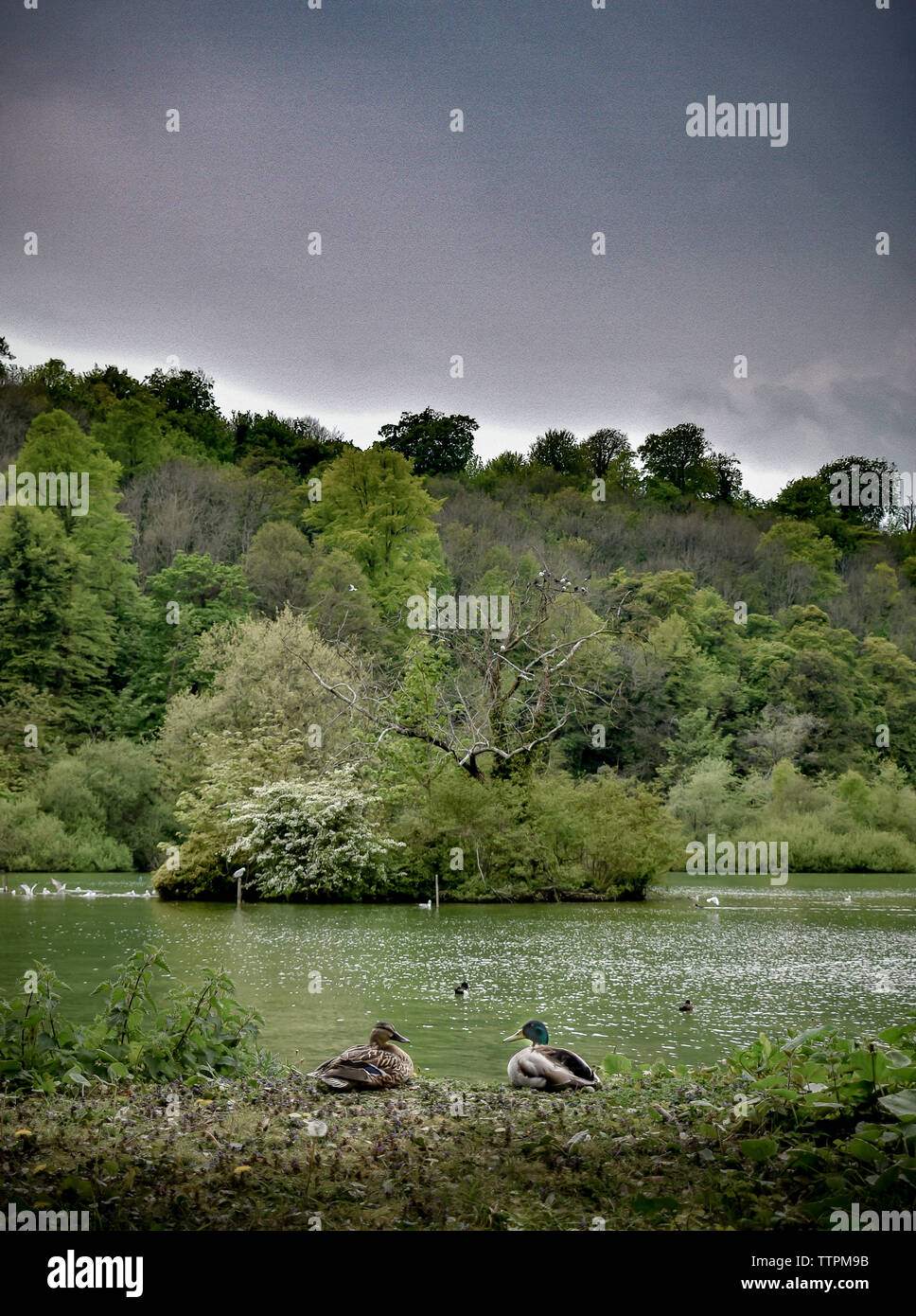 Lakeside haven hi-res stock photography and images - Alamy