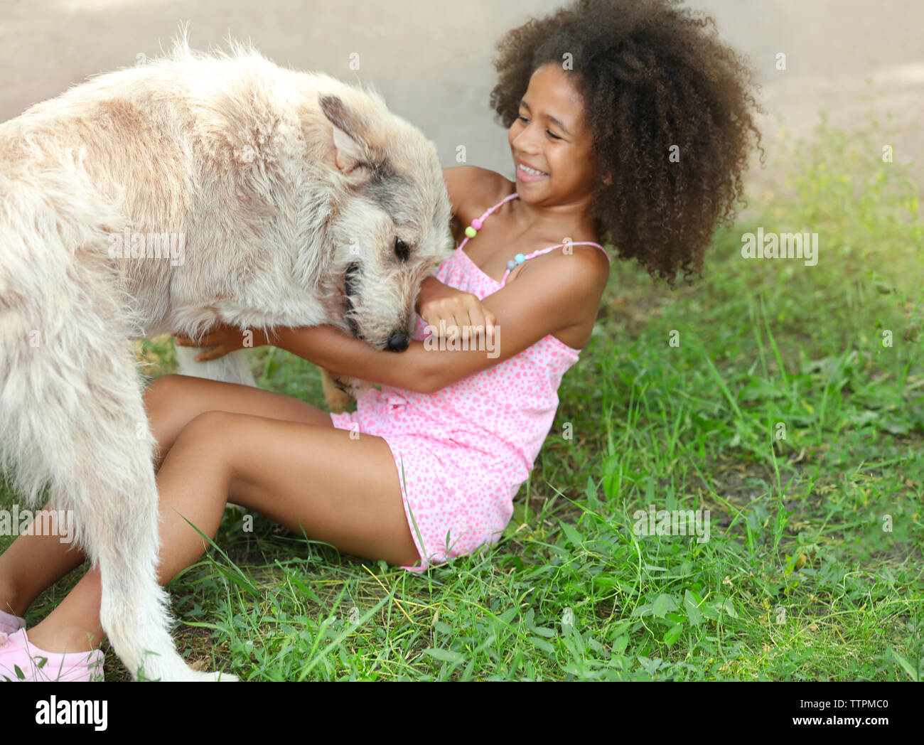 Cute African American girl playing with dog in park Stock Photo - Alamy