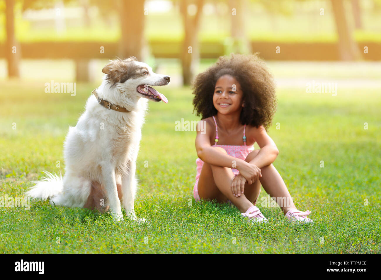 Cute African American girl playing with dog in park Stock Photo - Alamy